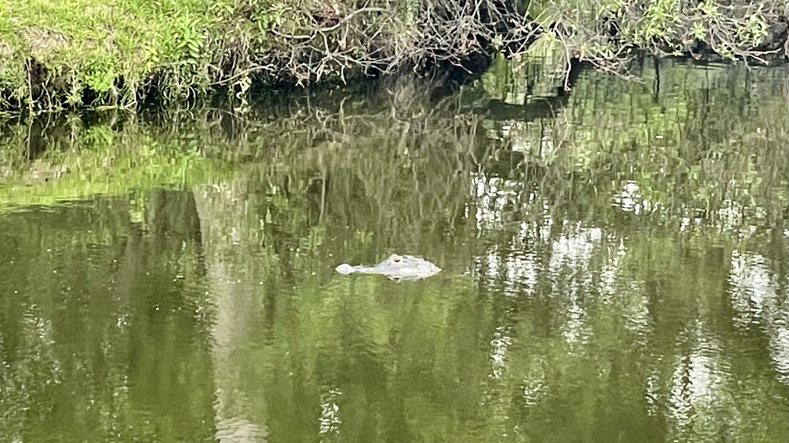 Shipyard Golf Club – flopshotfred